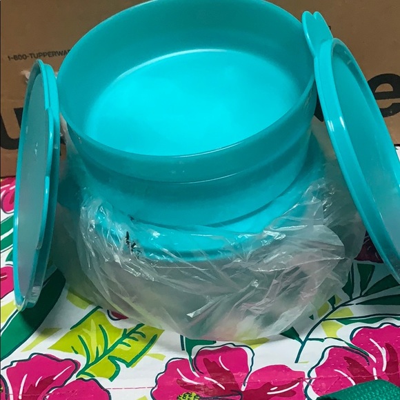 Tupperware | Kitchen | Tupperware Big Wonders Bowls Water Bottles ...
